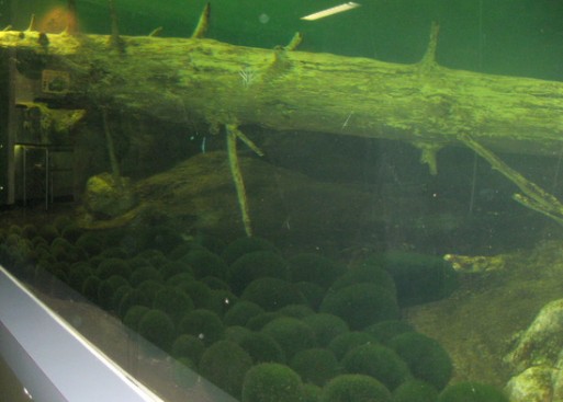 Akanko Onsen (Part 1) – FunBlog