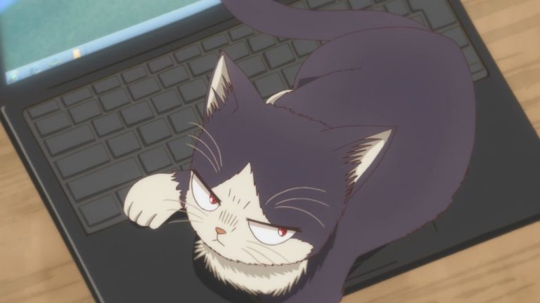 My Roommate is a Cat–Anime Review – FunBlog